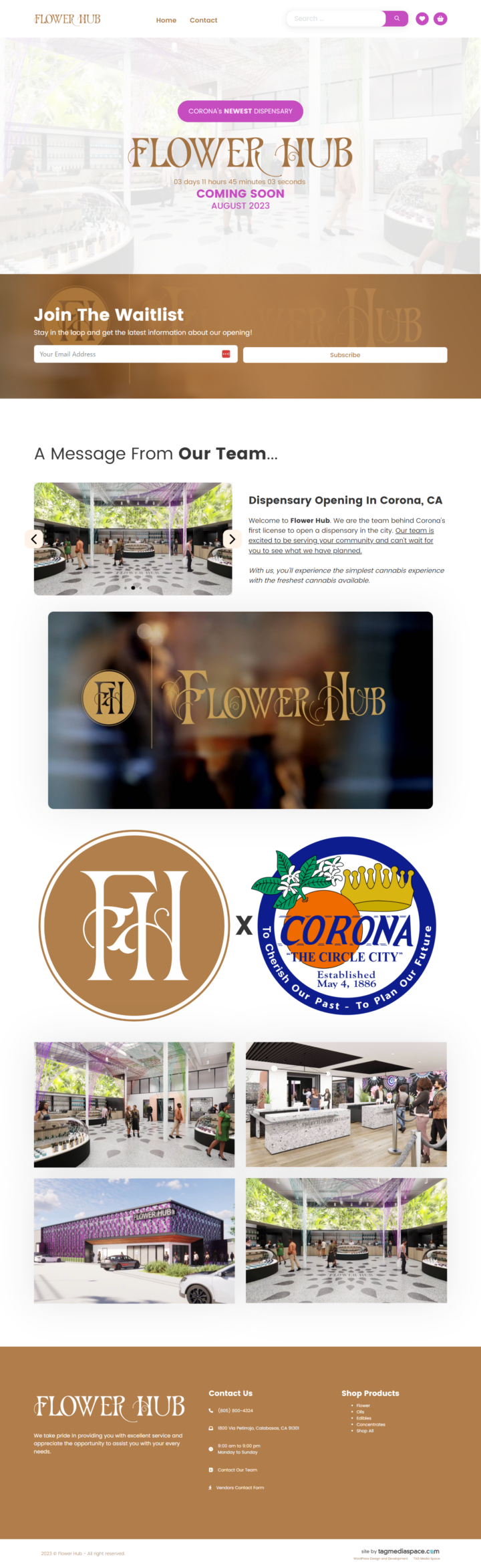 Website Portfolio | TAG Media Space